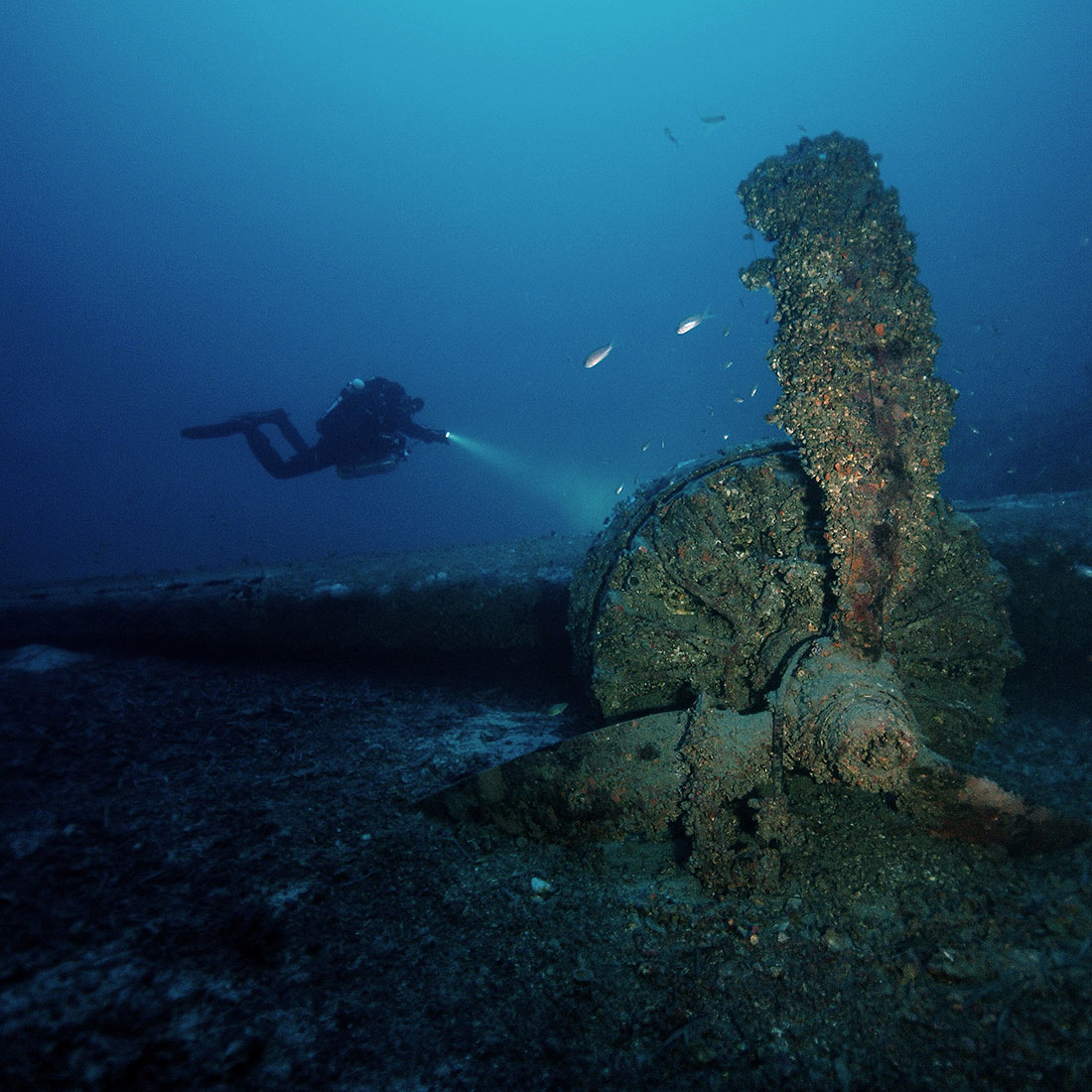 B-17 Diving Center ISSA - Scuba Diving Vis Croatia