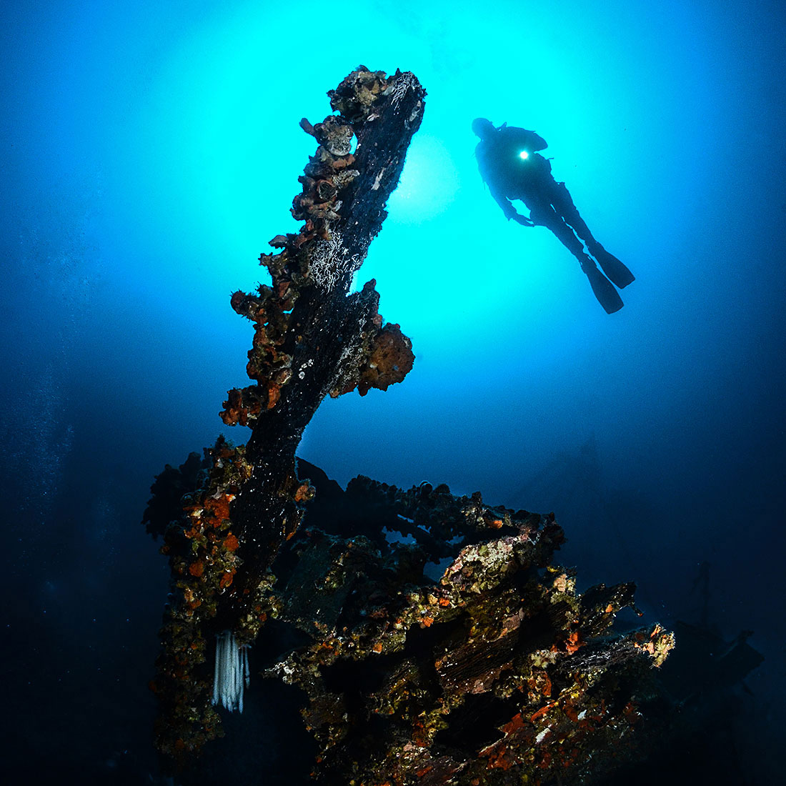 Fortunal Diving Center ISSA - Scuba Diving Vis Croatia