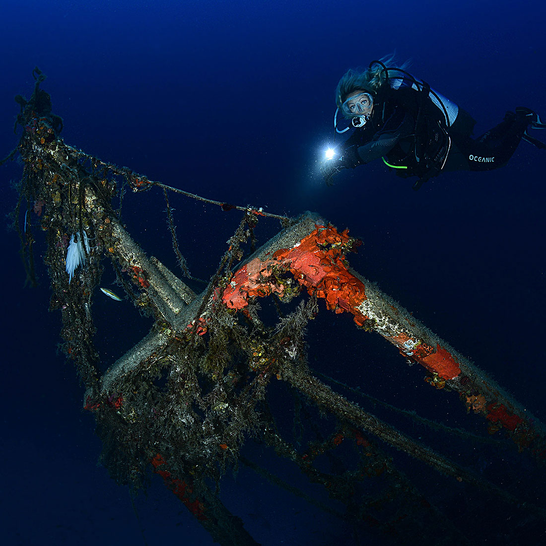 Fortunal Diving Center ISSA - Scuba Diving Vis Croatia